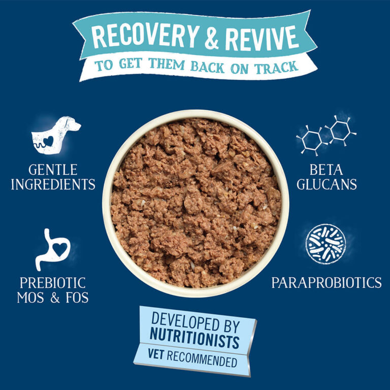 Recovery & Revive single can - 400g - Butcher's Dog Food