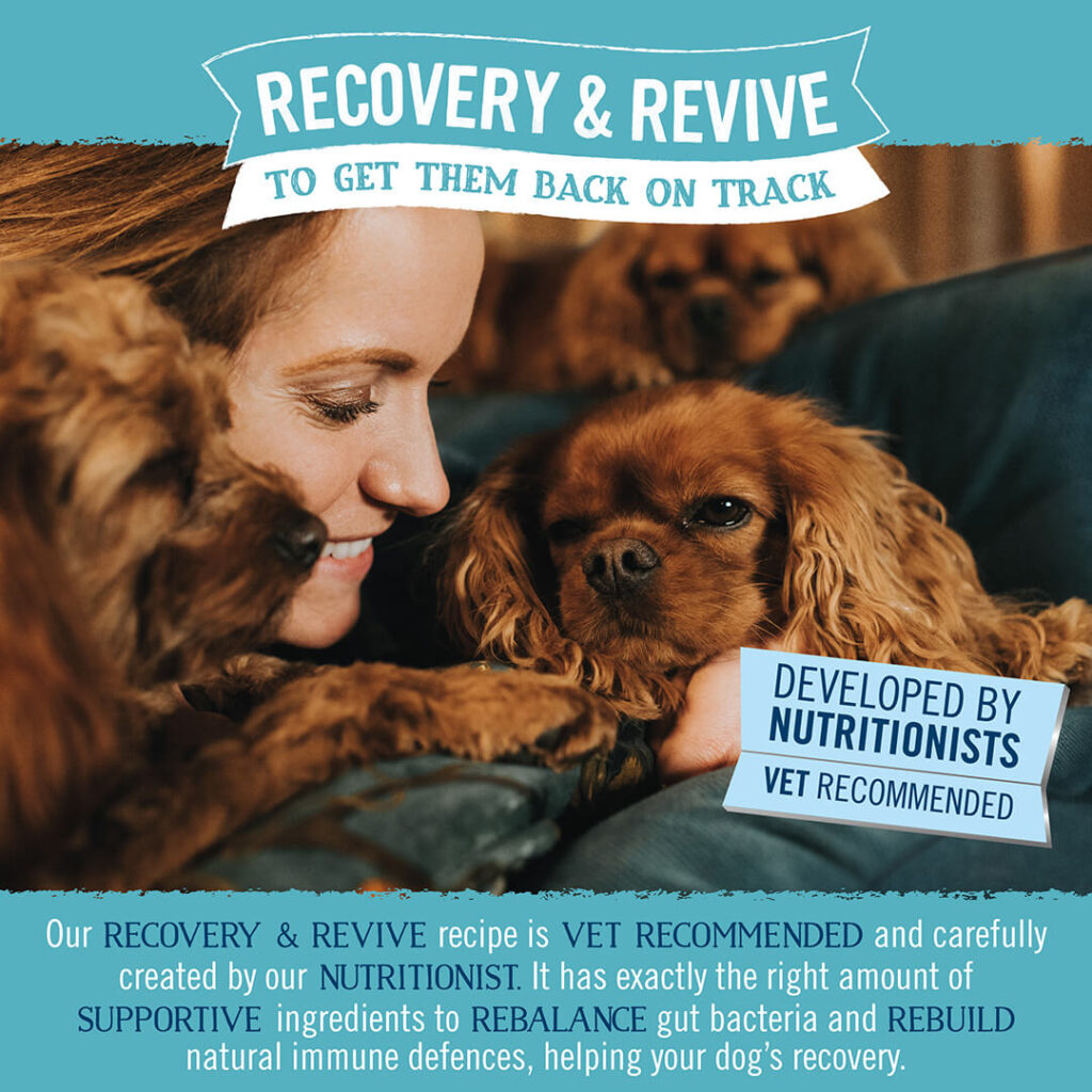 Recovery & Revive 4 pack - 150g - Butcher's Dog Food